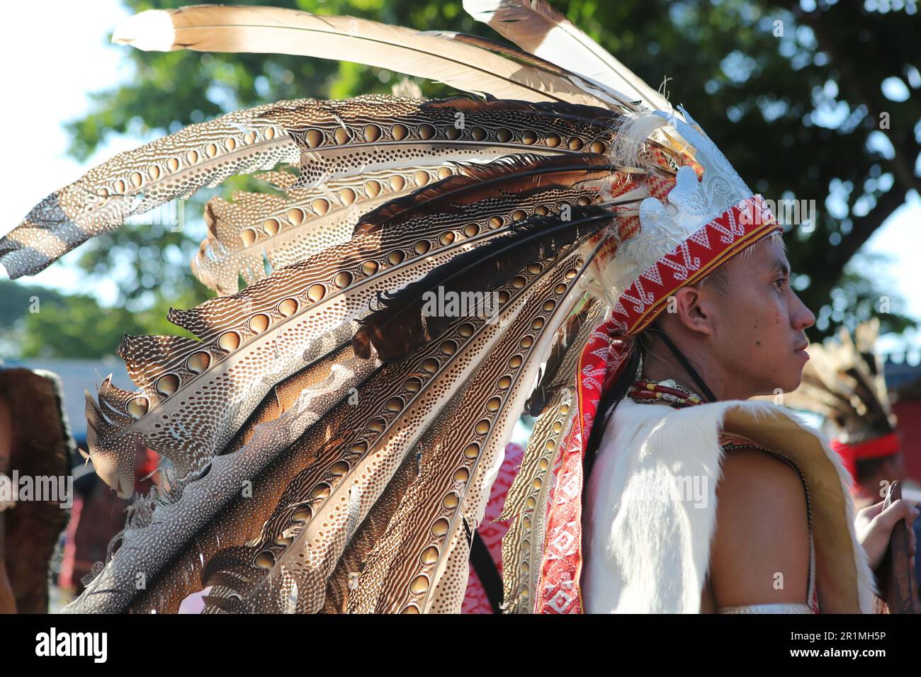 A young warrior in exuberant headdress in Kuching, Sarawak, Malaysia ...