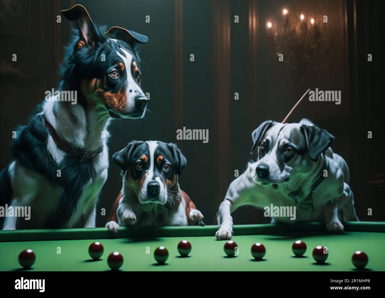 Waving stick dog hi-res stock photography and images - Alamy