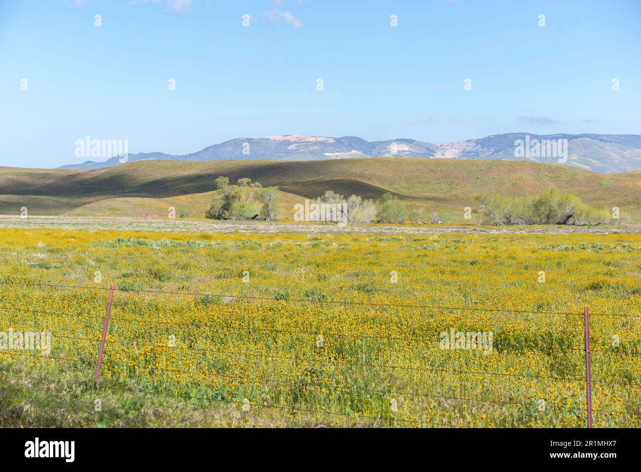 Scenic landscape in Lancaster, California Stock Photo - Alamy