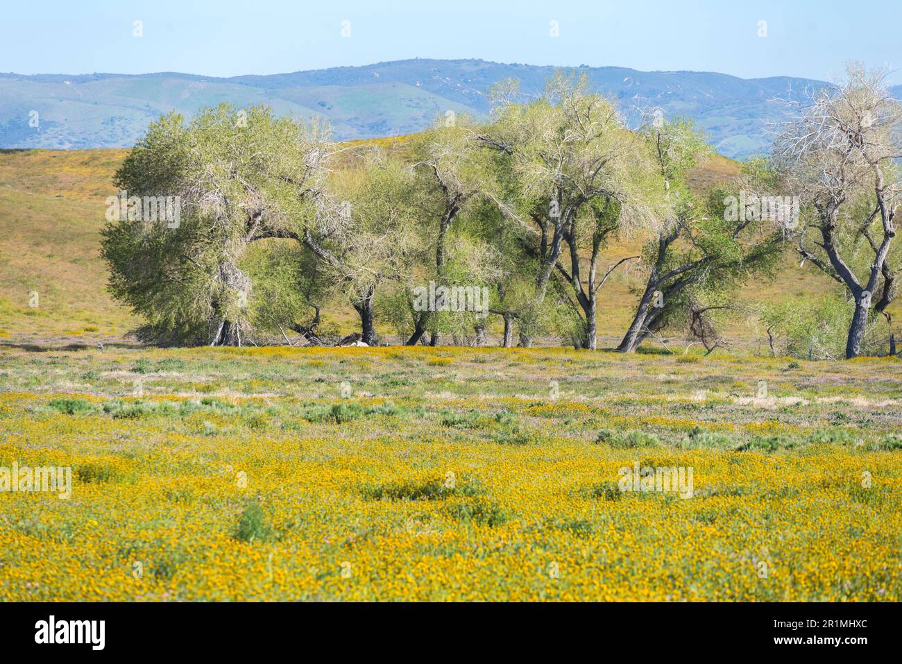Scenic landscape in Lancaster, California Stock Photo - Alamy
