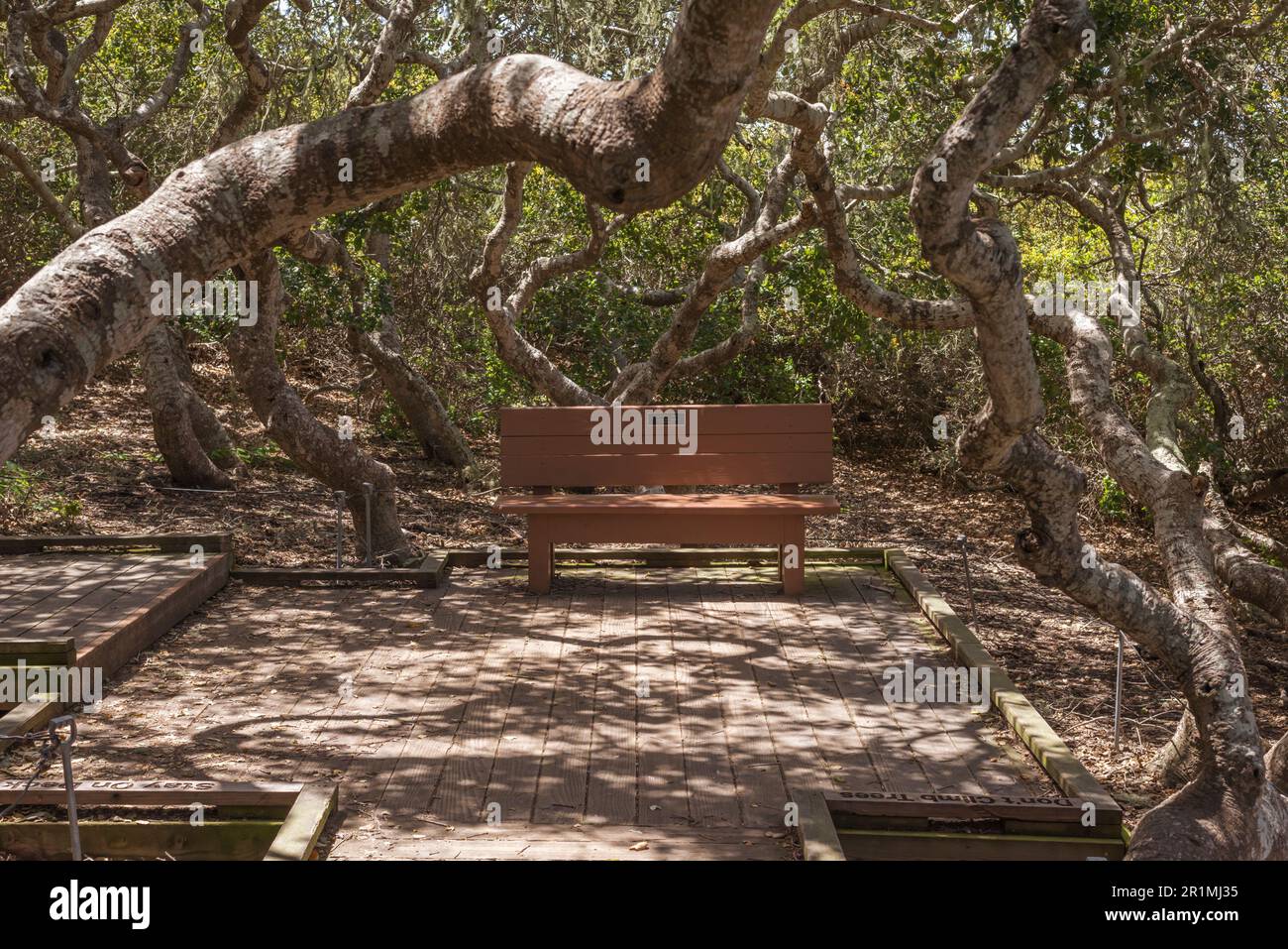 The Elfin Forest in Los Osos, California Stock Photo - Alamy
