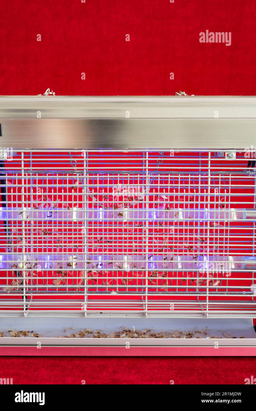 electric indoor mosquito and insect killer with lots of dead flying ...