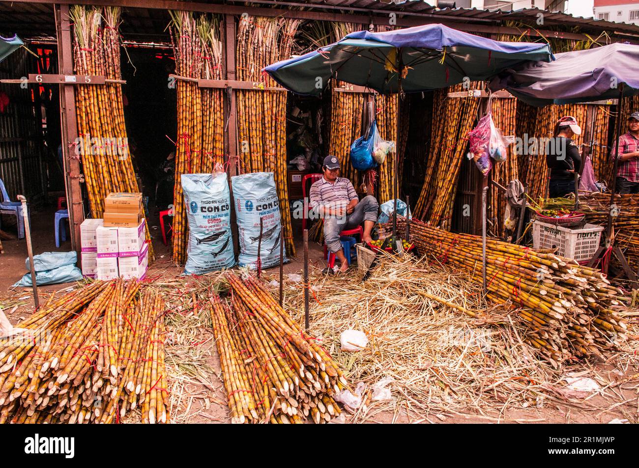 open air sugar cane stall & vendor at a wholesale market, (Phsar ...