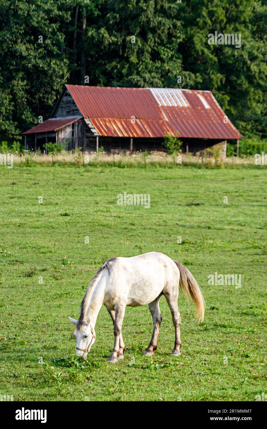 Tennessee Great Smoky Mountains National Park,rural country countryside ...