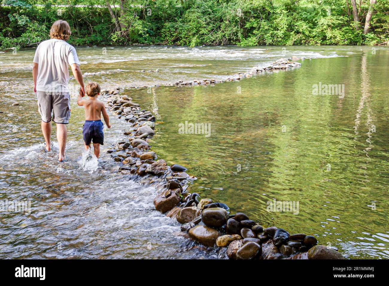 Son wading little river water hi-res stock photography and images - Alamy