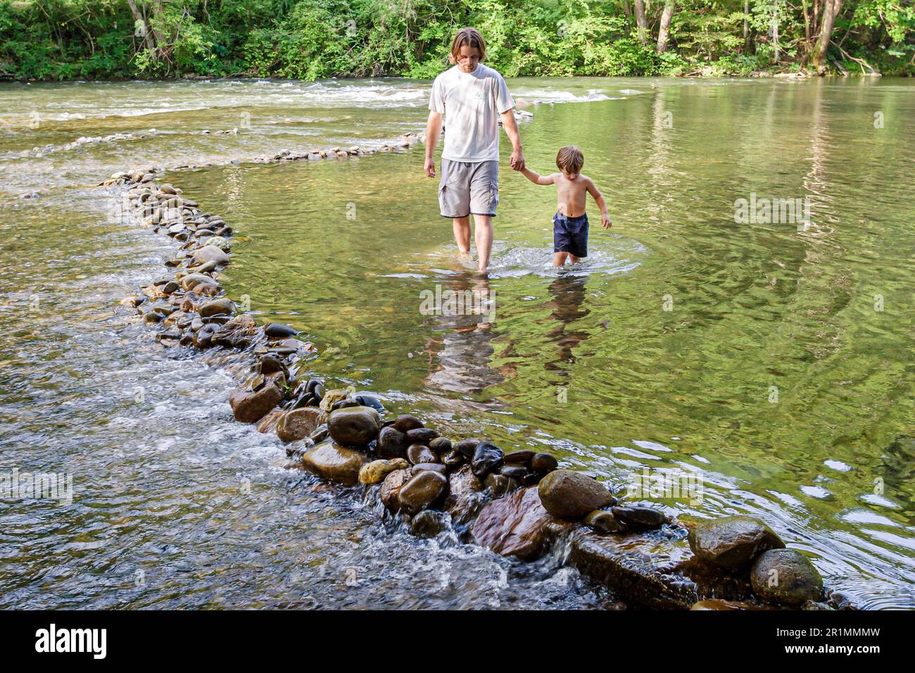 Son wading little river water hi-res stock photography and images - Alamy