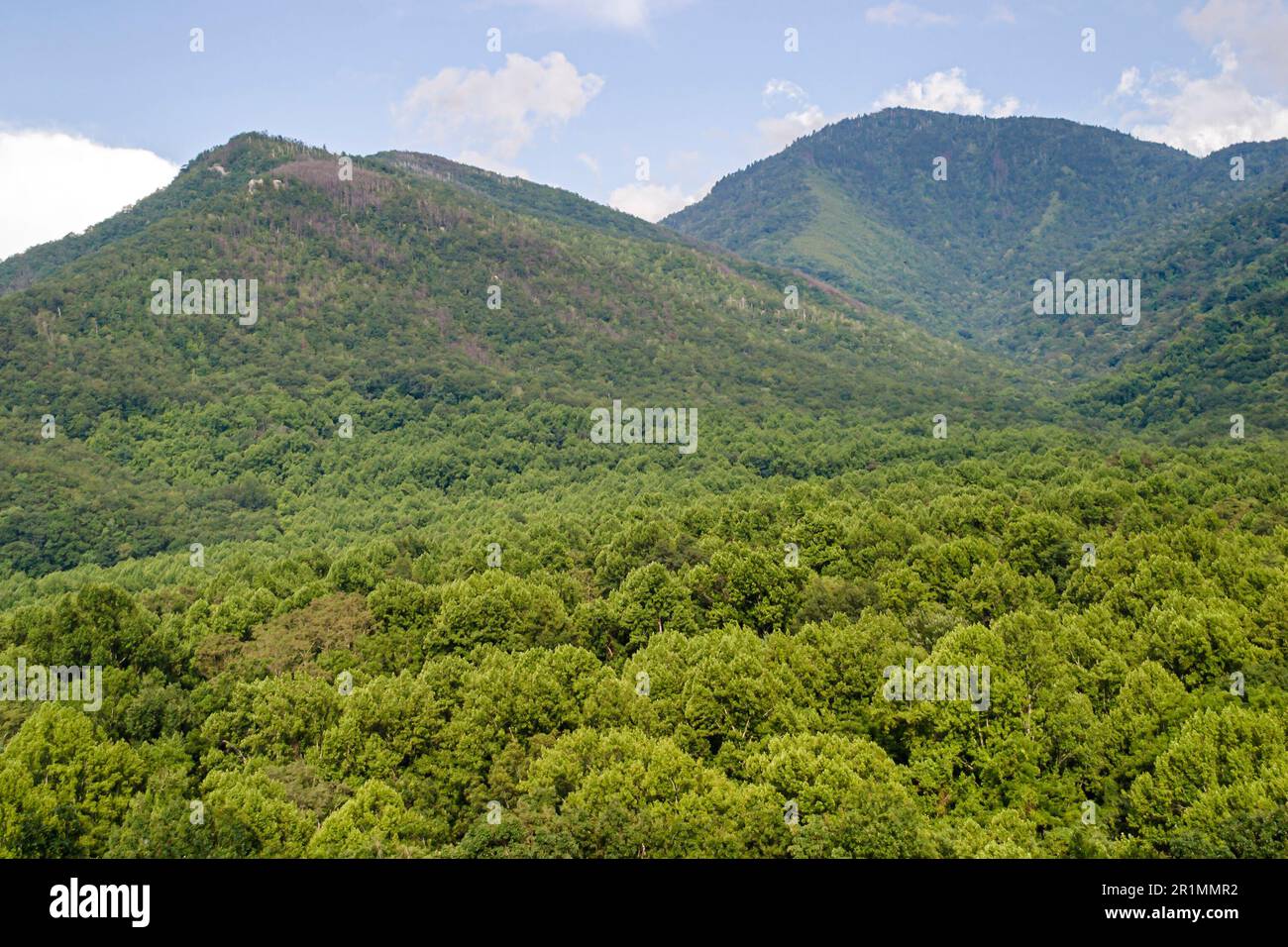 Tennessee Great Smoky Mountains National Park,nature natural scenery ...