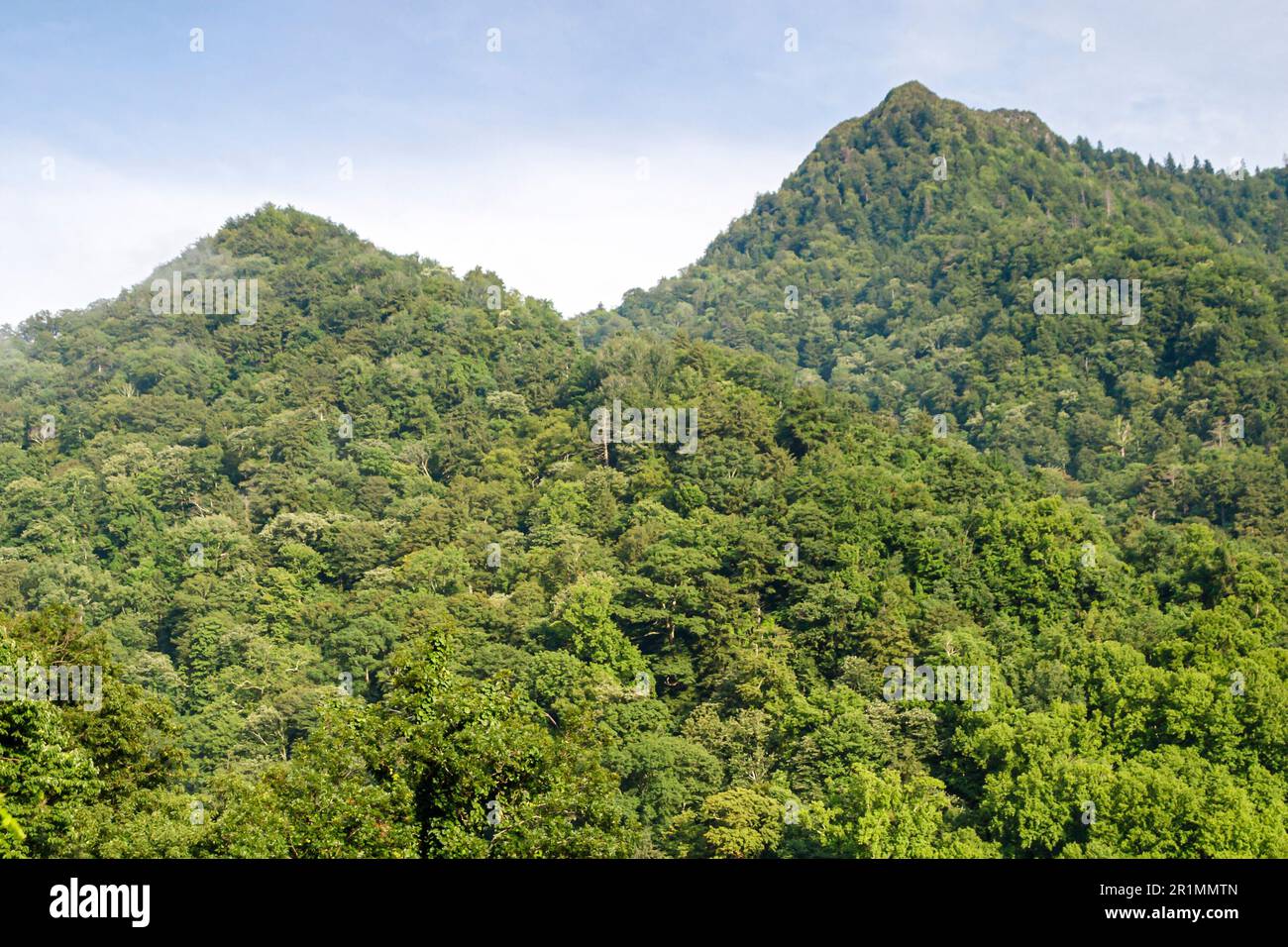 Tennessee Great Smoky Mountains National Park,Federal land,nature ...