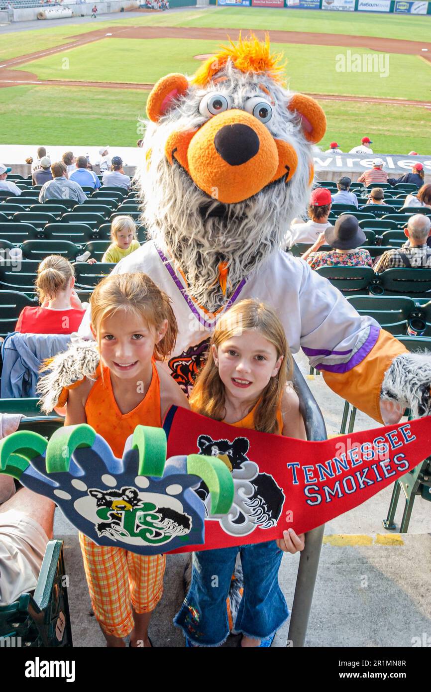 Tennessee Sevier County,Tennessee Smokies Double AA Baseball Stadium ...