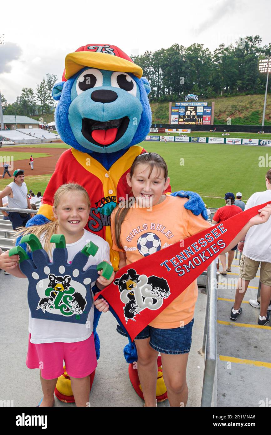 Tennessee Sevier County,Tennessee Smokies Double AA Baseball Stadium ...