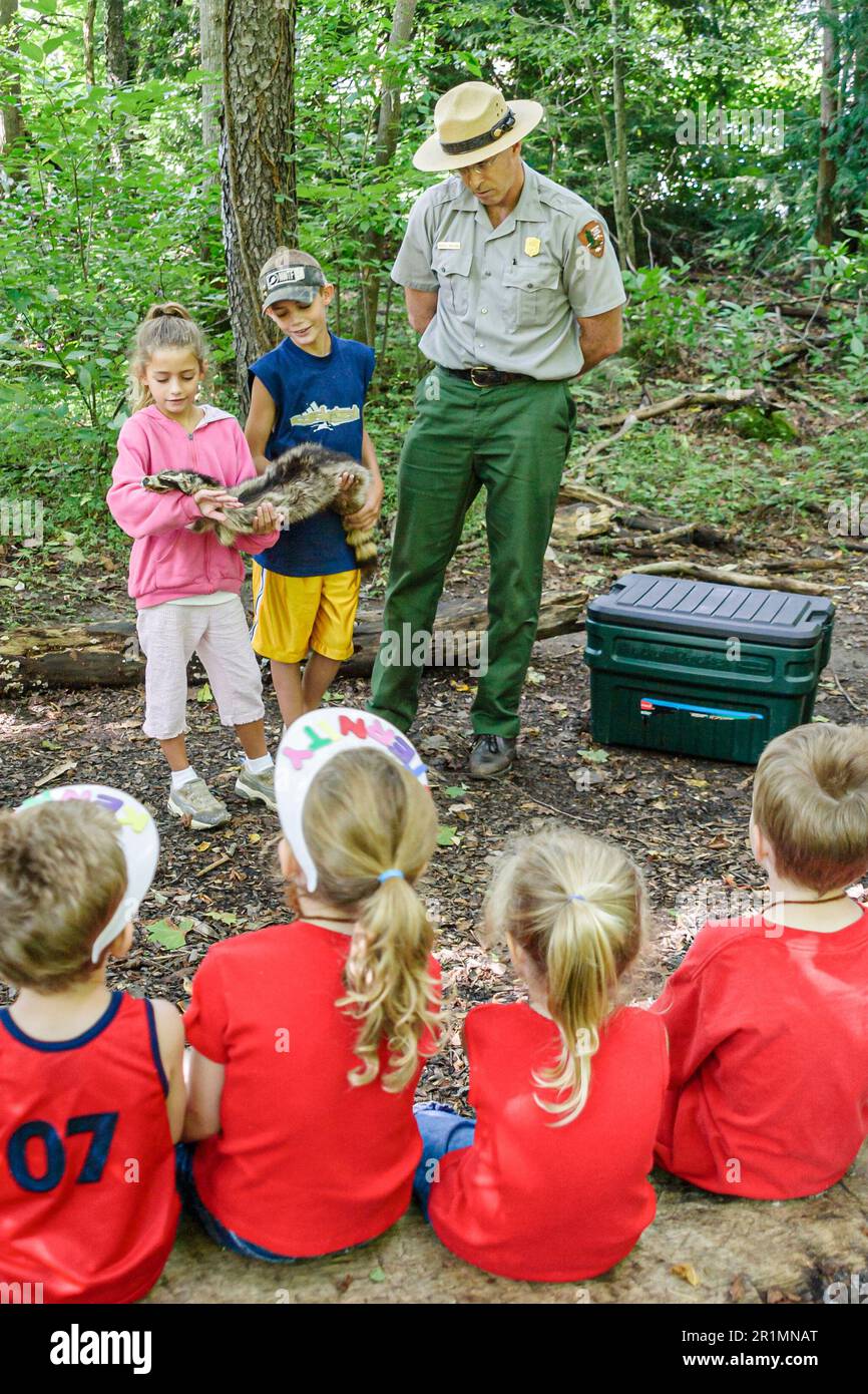 Tennessee Great Smoky Mountains National Park,Federal land,nature ...