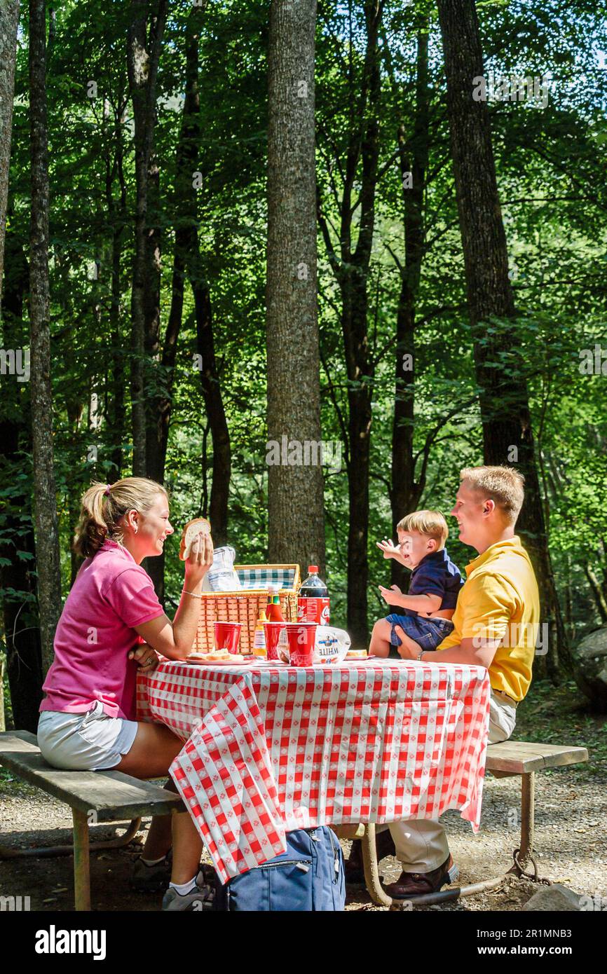 Tennessee Great Smoky Mountains National Park,Federal land,nature ...