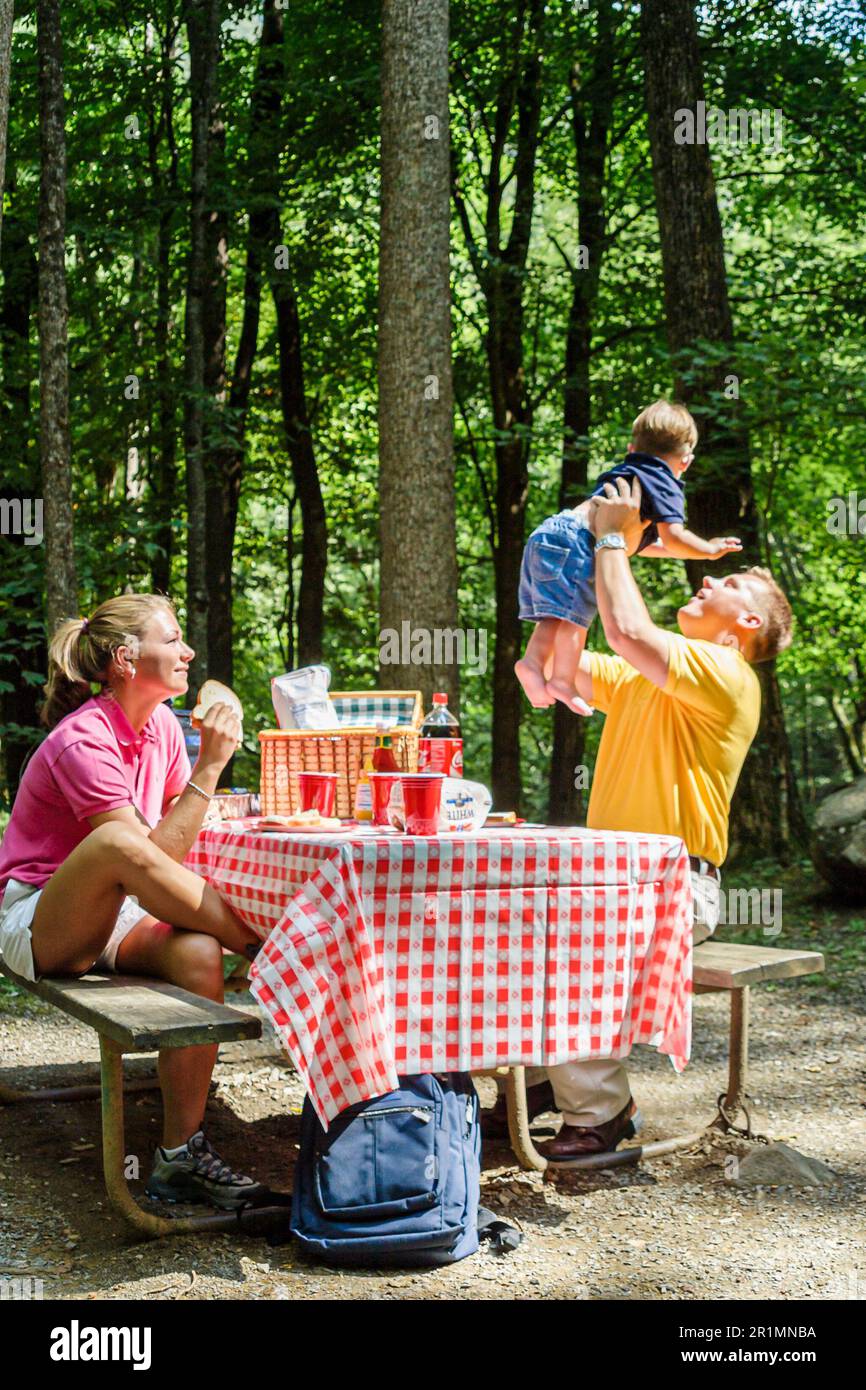 Tennessee Great Smoky Mountains National Park,Federal land,nature ...