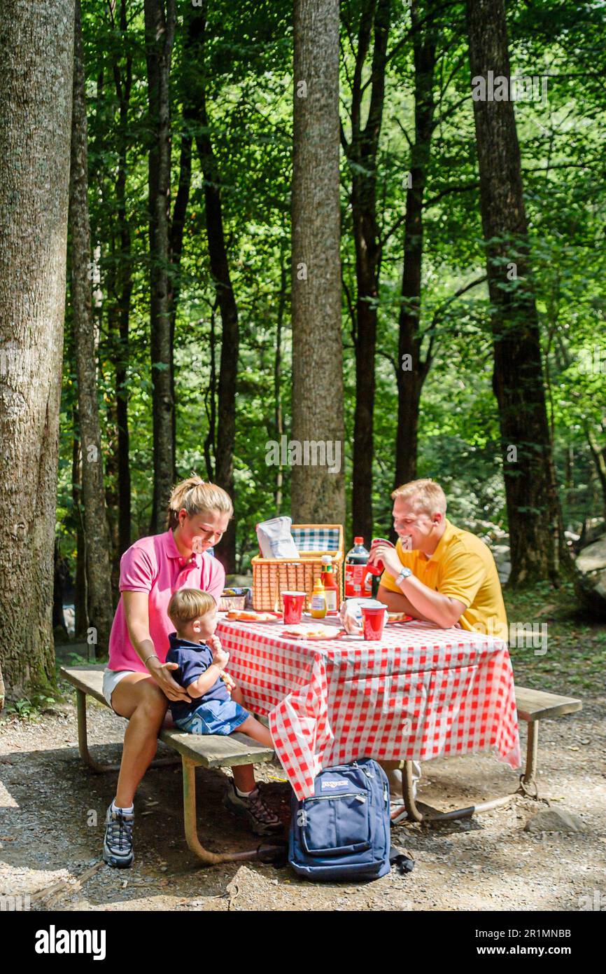 Tennessee Great Smoky Mountains National Park,Federal land,nature ...
