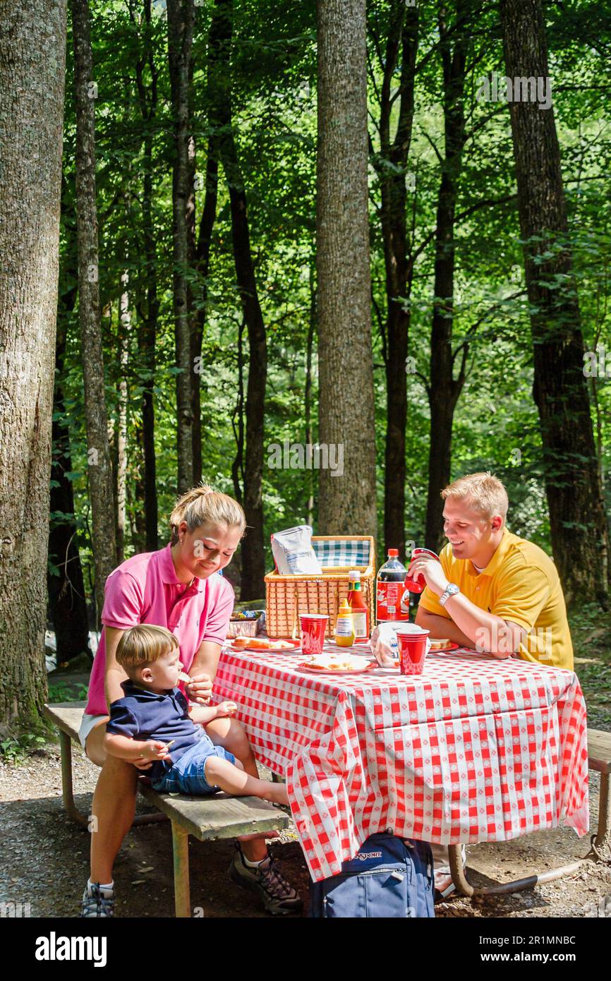 Tennessee Great Smoky Mountains National Park,Federal land,nature ...