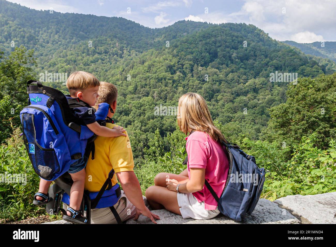 Tennessee Great Smoky Mountains National Park,Federal land,nature ...
