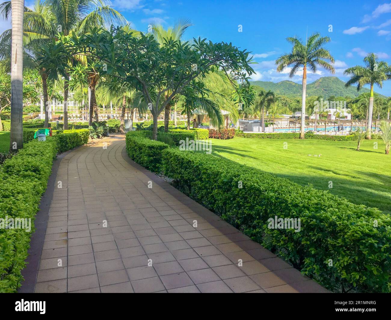 Meandering path garden hi-res stock photography and images - Alamy