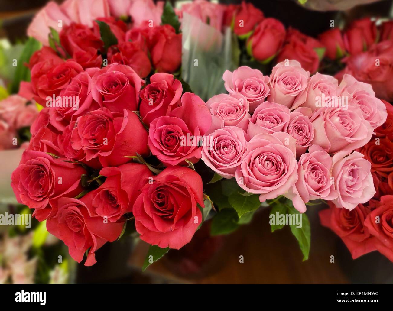 Beautiful bouquet of flowers with red and pink roses Stock Photo - Alamy