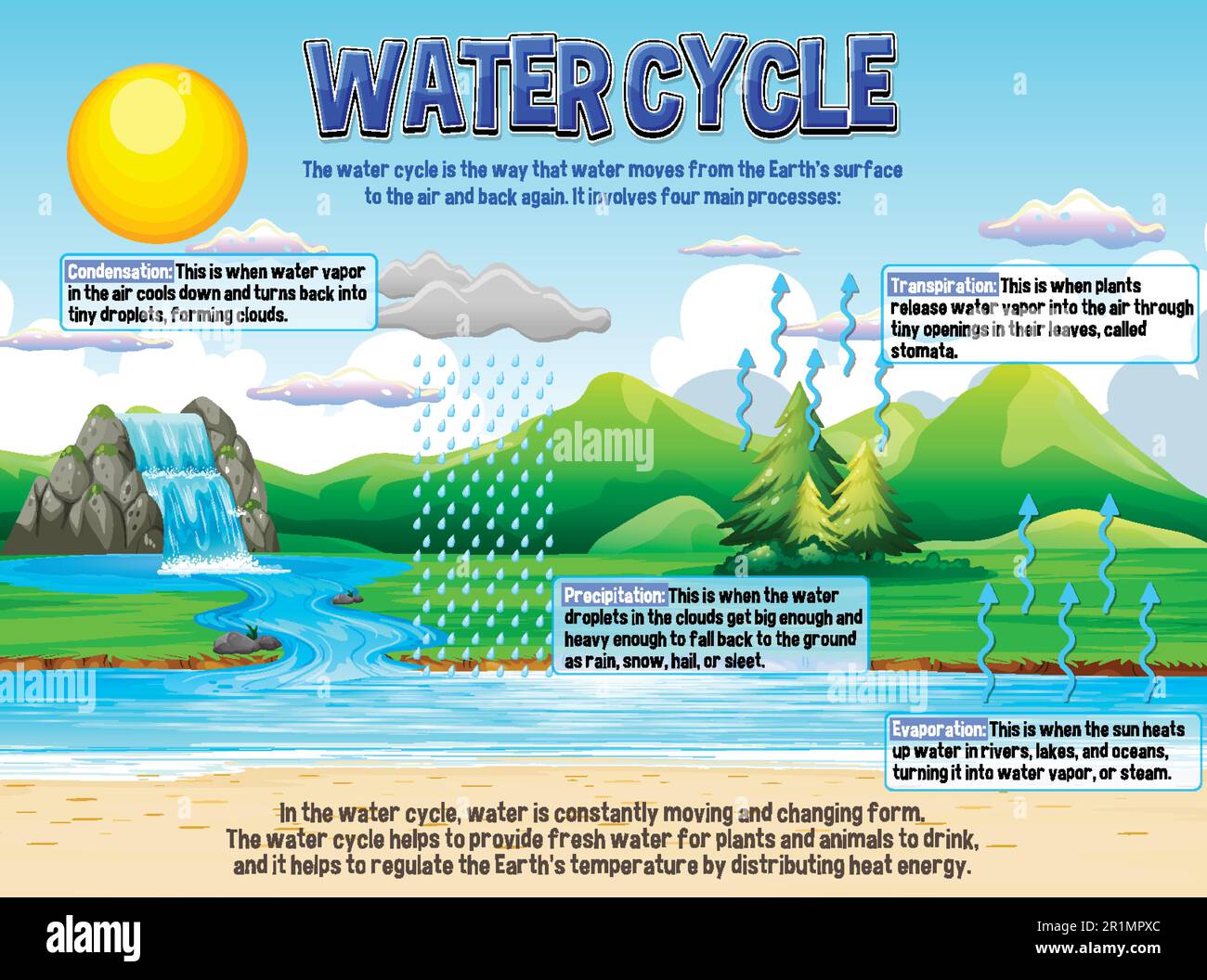 Water Cycle For Science Education Illustration Stock Vector Image Art water-cycle-for-science-education-illustration-stock-vector-image-art