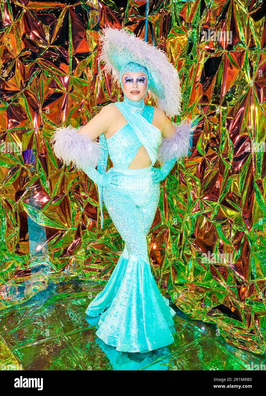 Blu hydrangea hi-res stock photography and images - Alamy