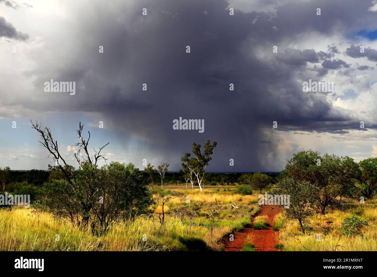 Distant rain storm in outback landscape, Pilbara, Northwest Australia ...