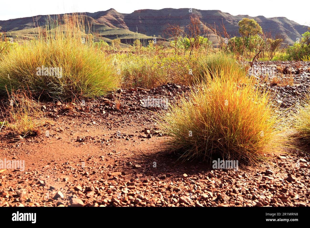 Outback landscape, Pilbara, Northwest Australia Stock Photo - Alamy
