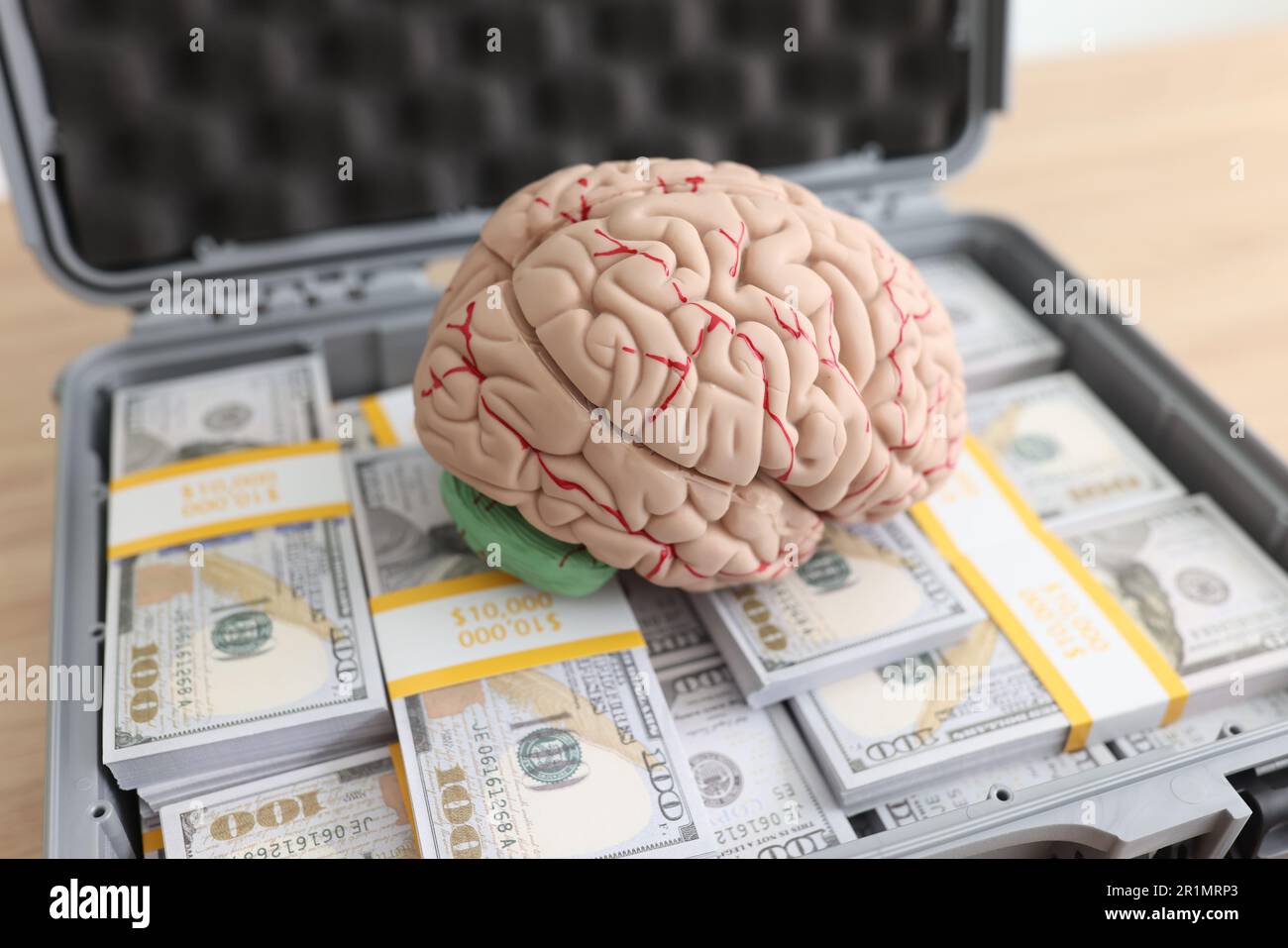 Human brain model on cash money pile in case on floor Stock Photo - Alamy