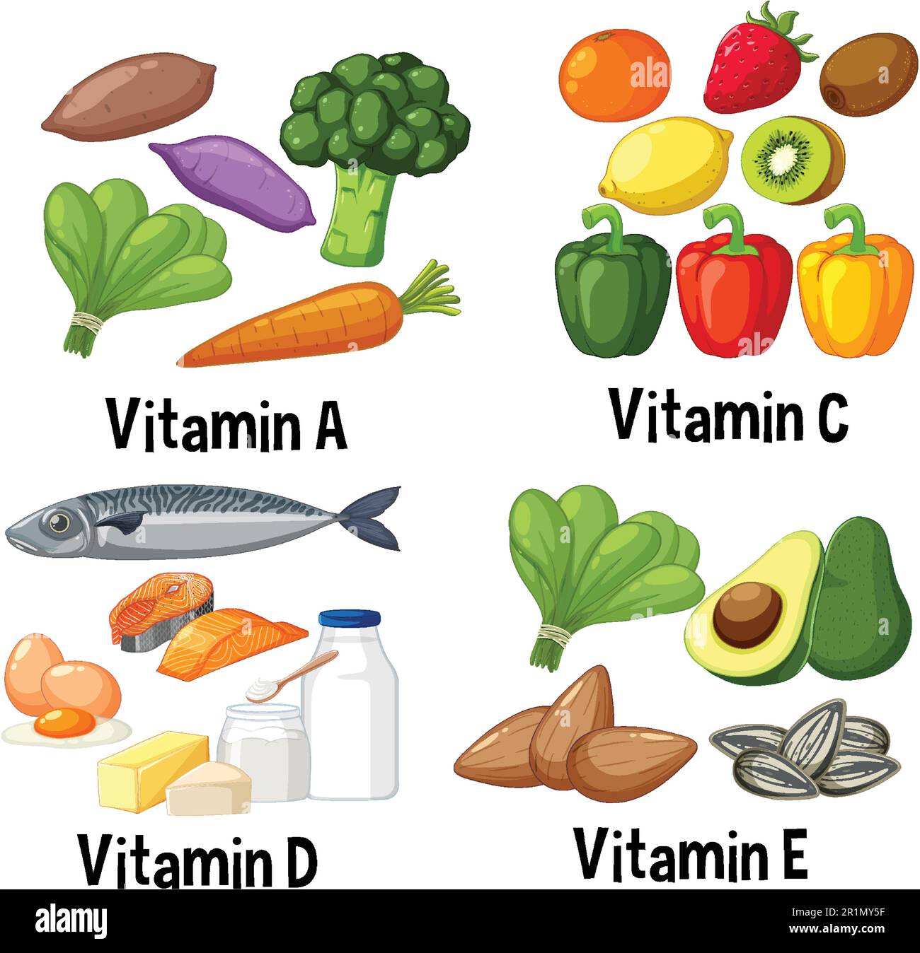 Healthy Food and Nutrition Vector with Fruits, Vegetables, and Protein ...