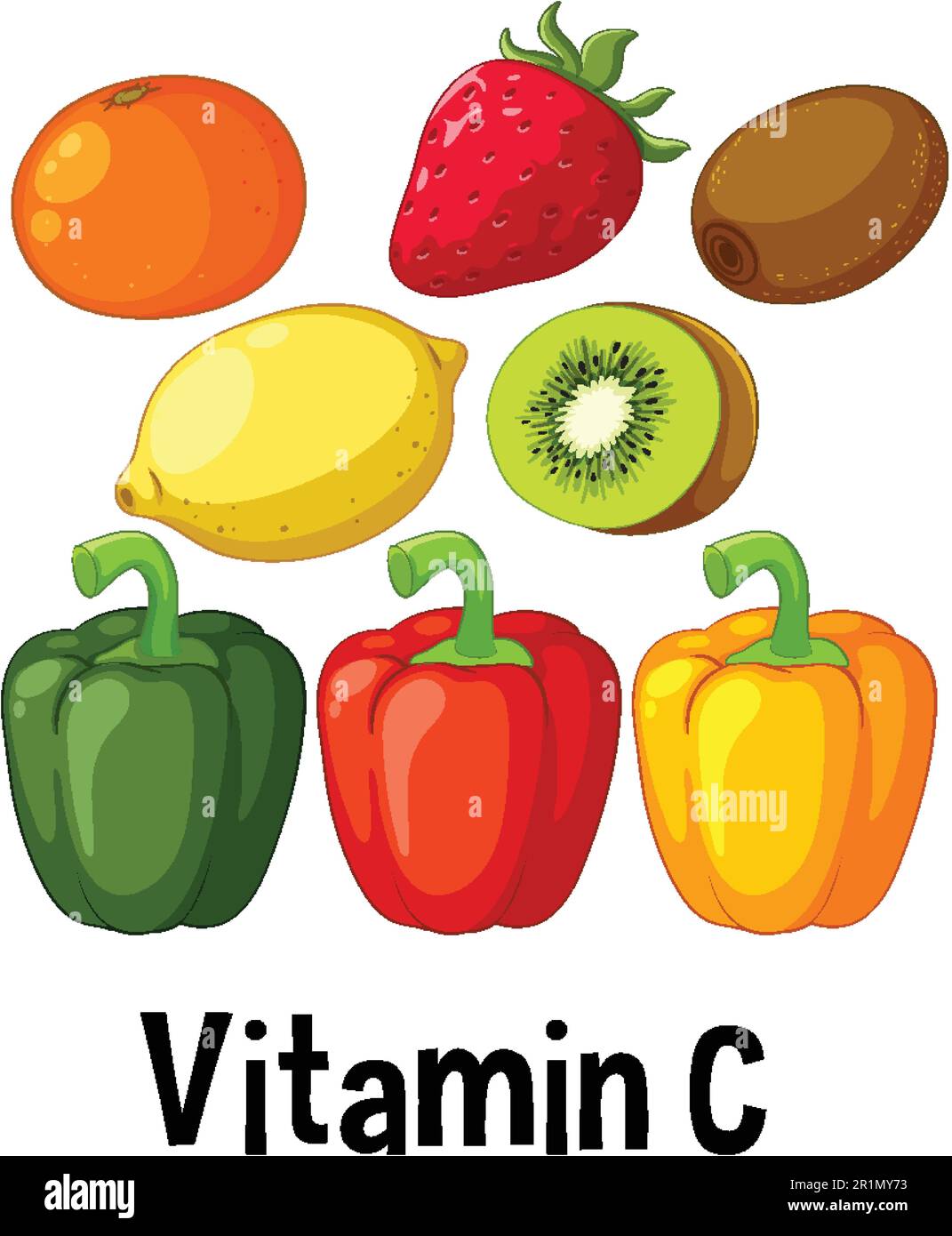 Colorful Vitamin C-Rich Foods Vector illustration Stock Vector Image ...