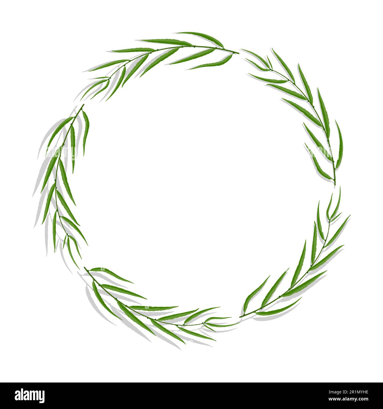 Willow tree frame with green leaves. Circle greeting card decorating ...