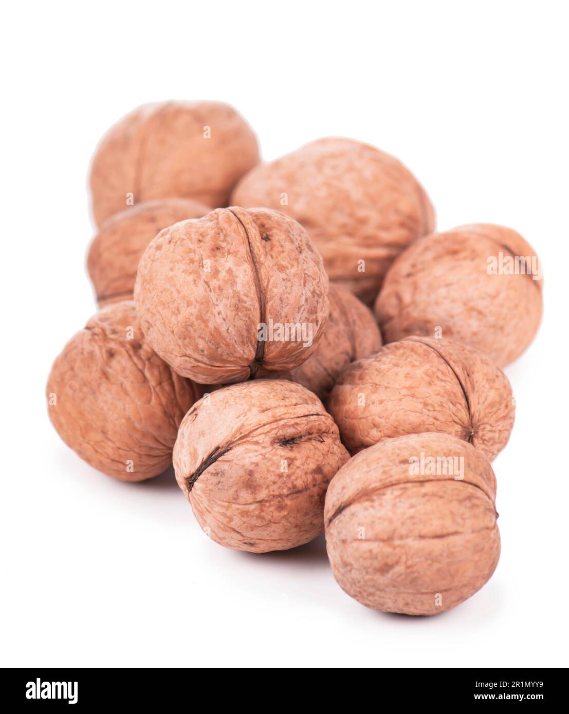 Fresh ripe Walnut isolated on a white background Stock Photo - Alamy