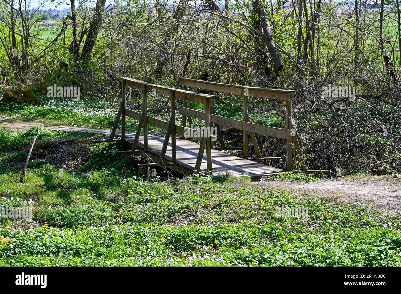 duck board and bridge made of wood Stock Photo - Alamy