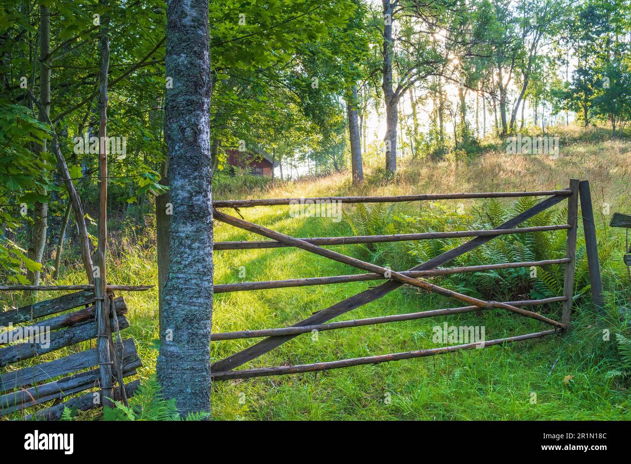 Forest meadow with a wood gate Stock Photo - Alamy