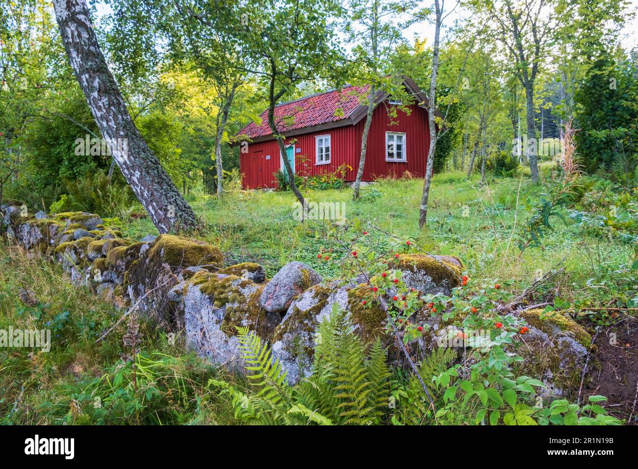 Old rose cottage hi-res stock photography and images - Alamy