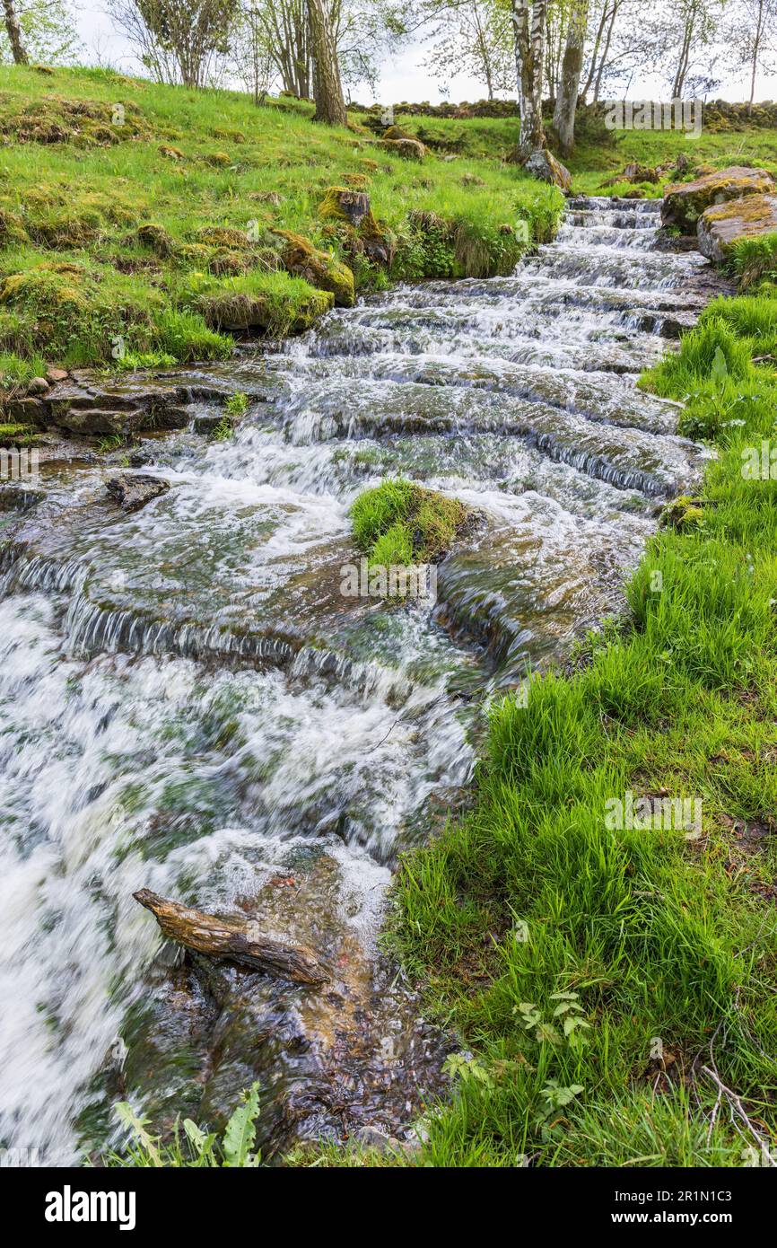 Running on meadow beautiful scene hi-res stock photography and images ...