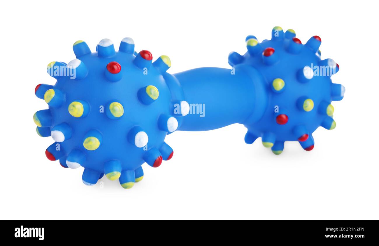 Blue bone hi-res stock photography and images - Alamy