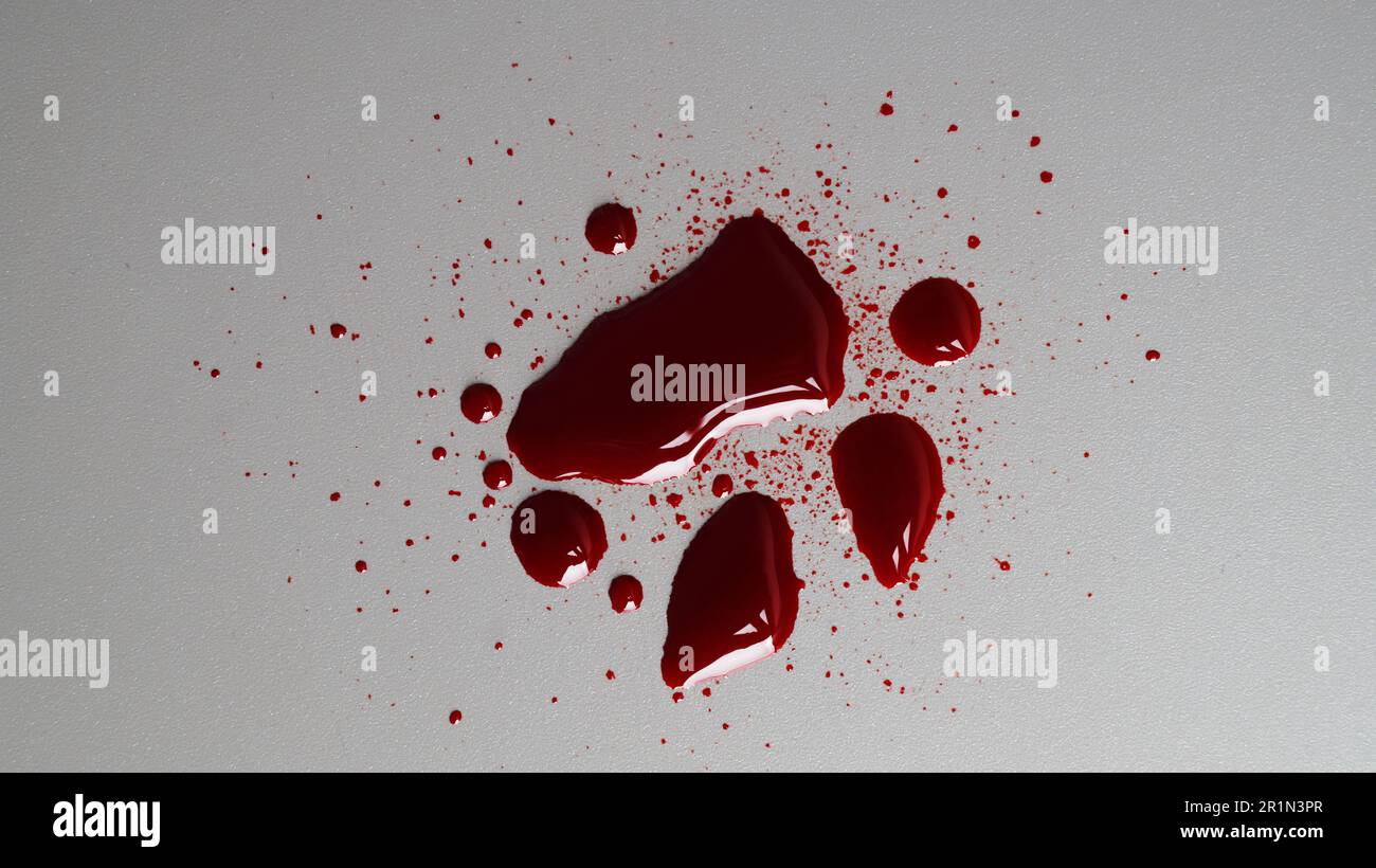Stain and splashes of blood on grey background, top view Stock Photo ...