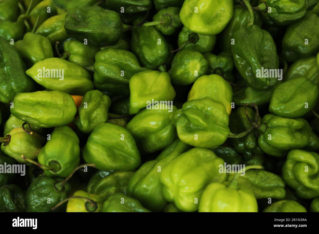Chile cascabel hi-res stock photography and images - Alamy