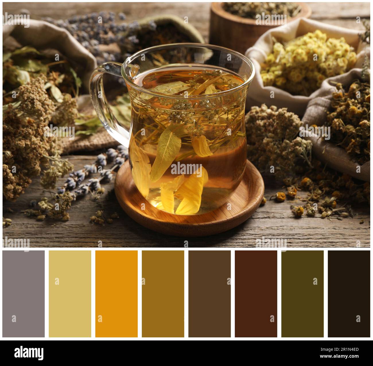 Freshly brewed tea and dried herbs on wooden table and color palette ...