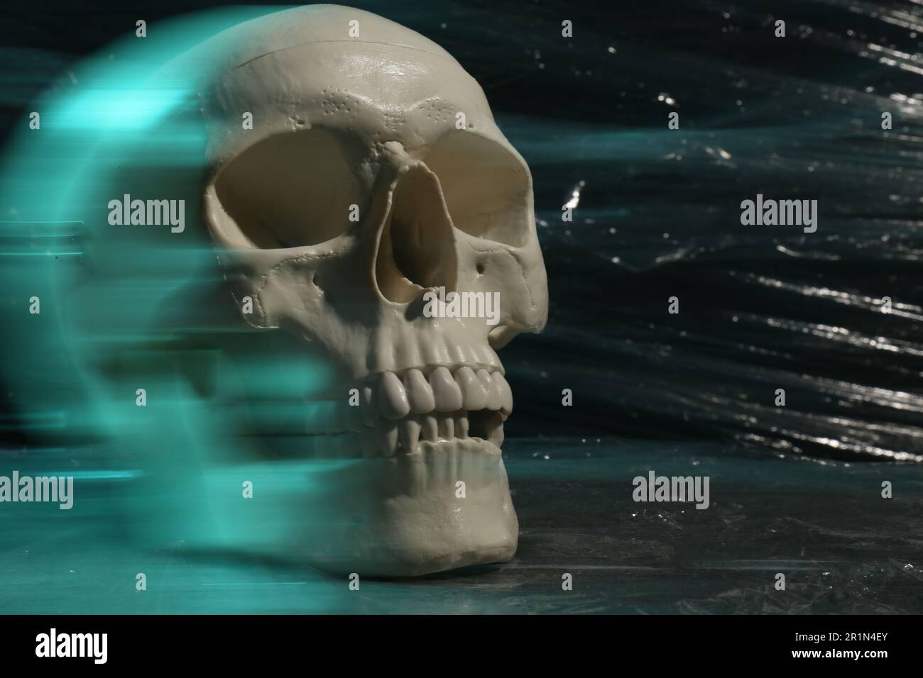 Human skull with stretch film on stone surface against black background ...