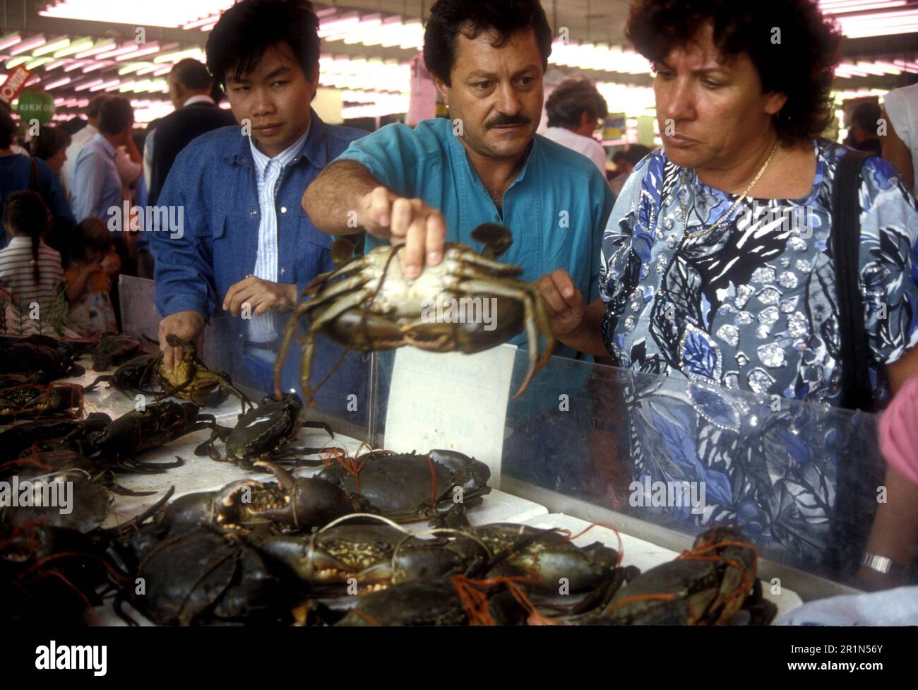 Migrants choosing crabs in the old Pyrmont Fish market in Sydney Stock ...