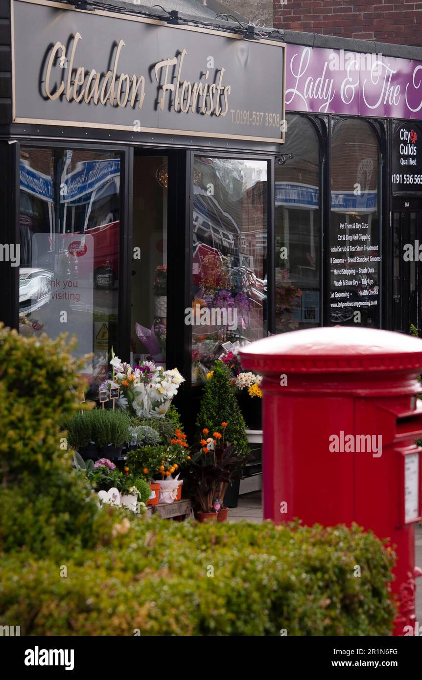Florist in Cleadon, South Tyneside Stock Photo - Alamy