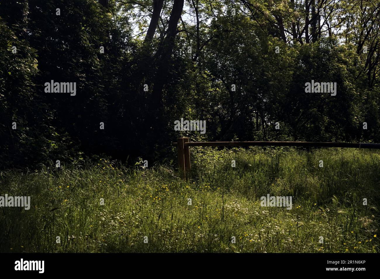 Wooden bar at the entrance of a grassy and shady path in a forest on a ...