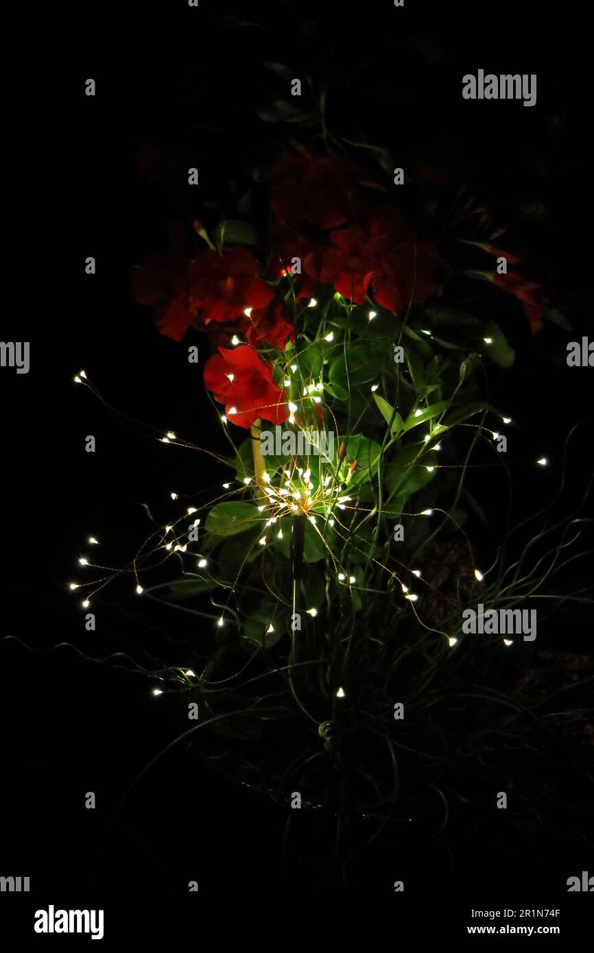 Lichterarrangement hi-res stock photography and images - Alamy