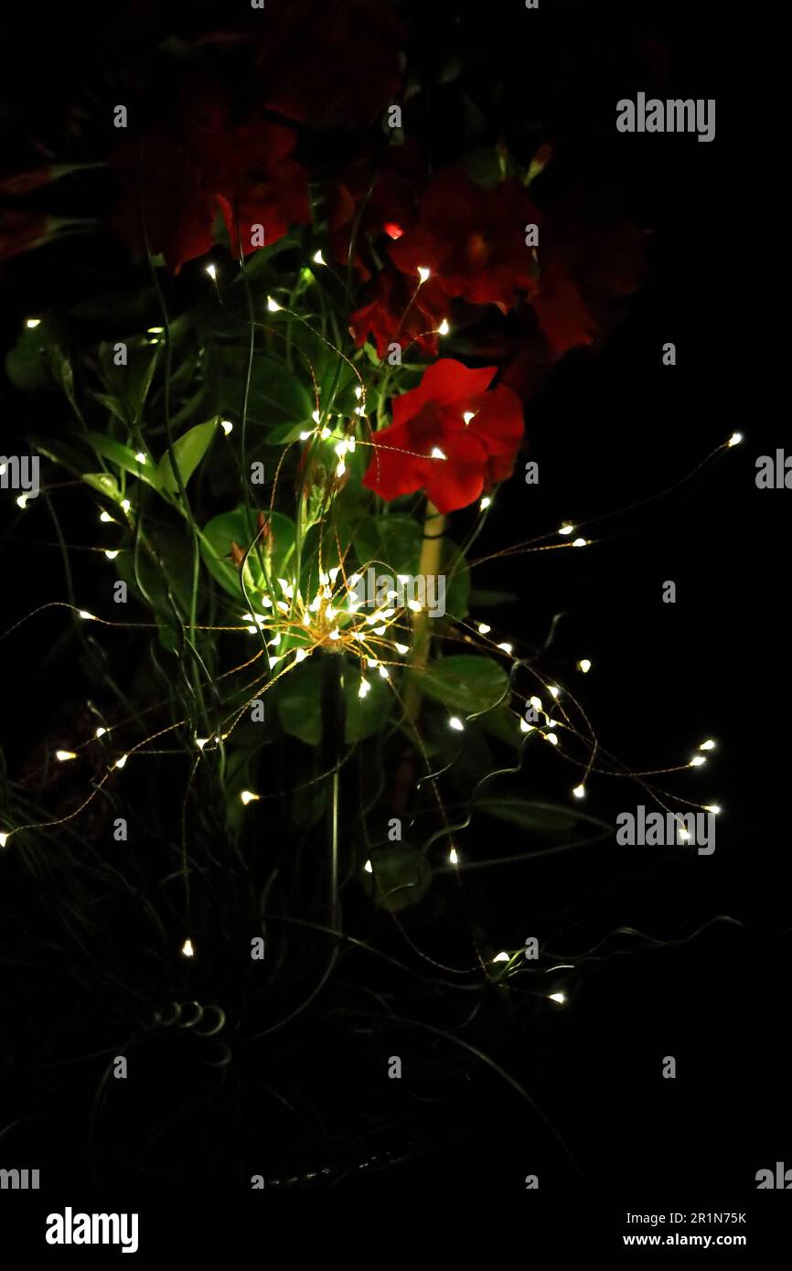 Lichterarrangement hi-res stock photography and images - Alamy