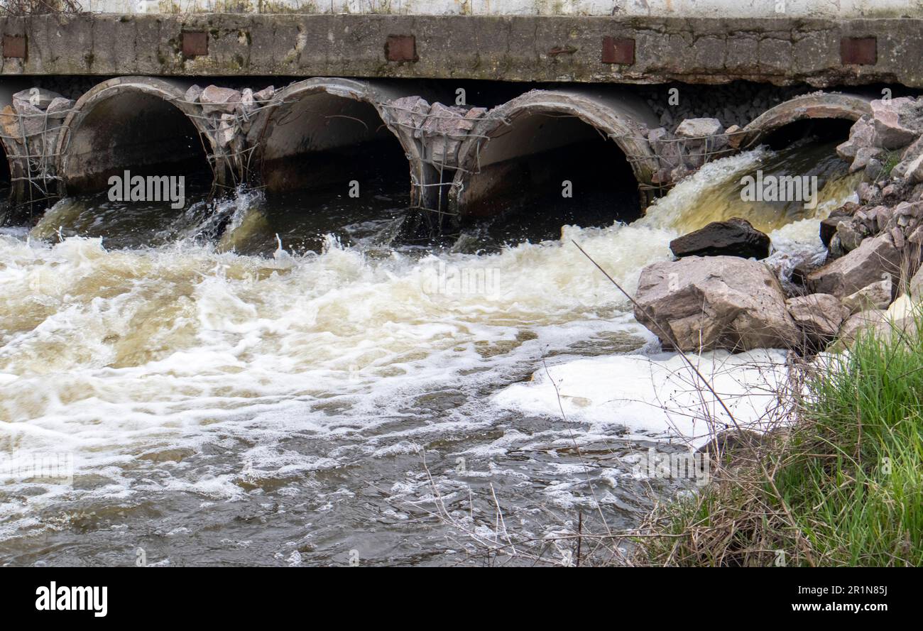 A concrete pipe that carries smelly, polluted sewage into the river ...