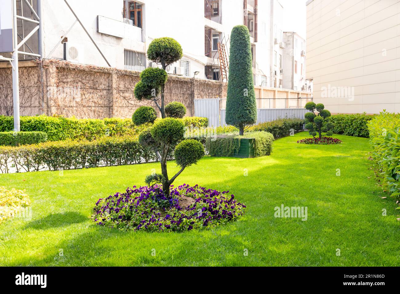 Geometric landscaping shrub, Chewing hedge Stock Photo - Alamy