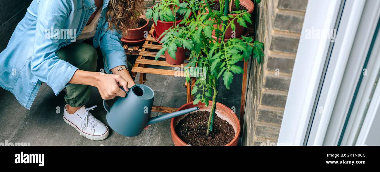 Woman using watering can with plants of urban garden on terrace Stock ...