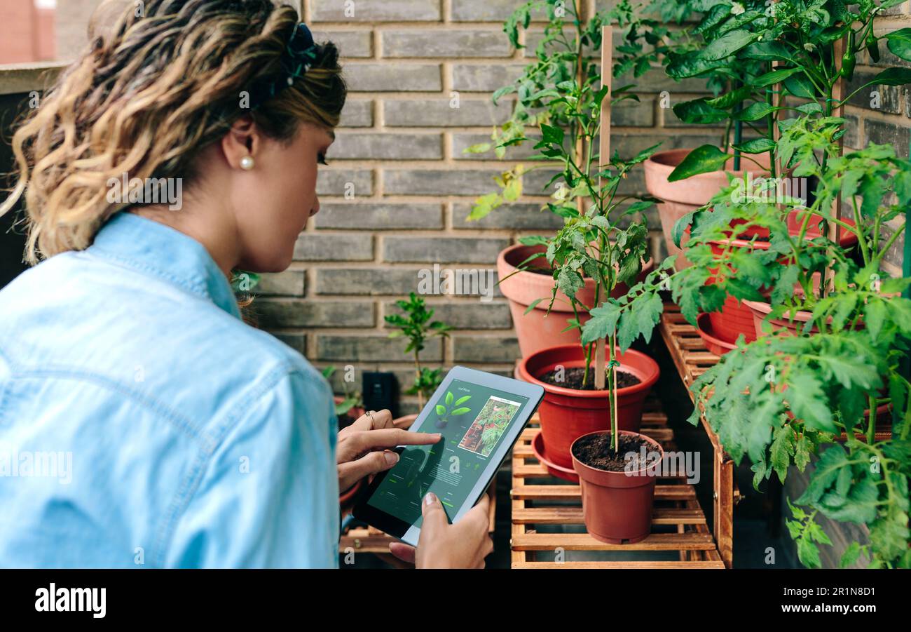 Woman scanner home hi-res stock photography and images - Alamy