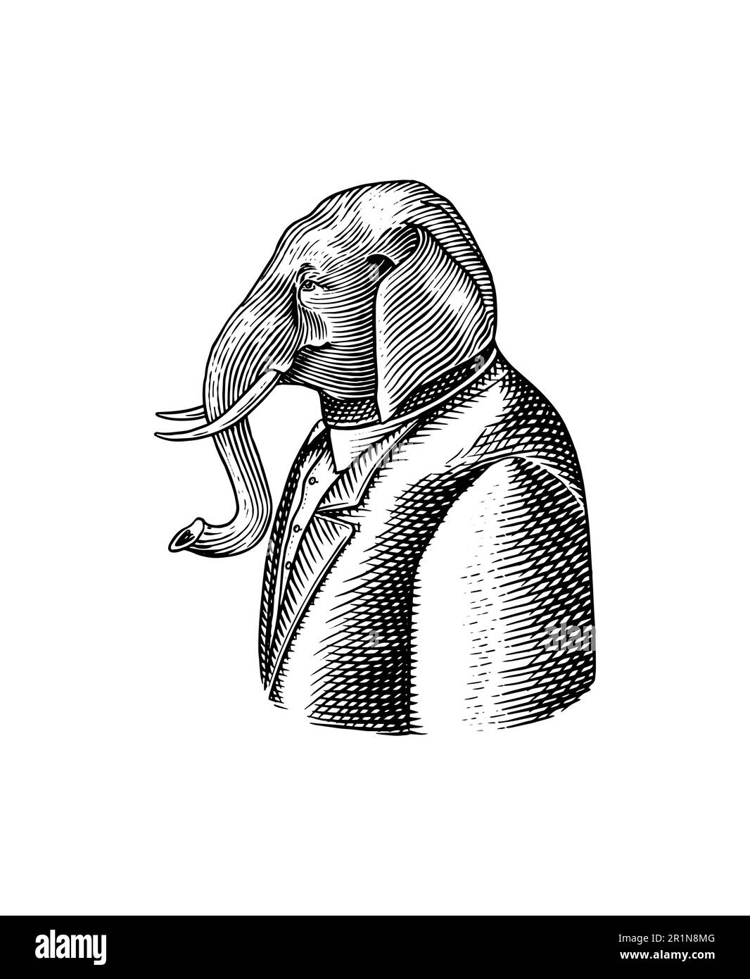 Fashion Elephant character in a suit. Gentleman in a jacket. Animal in ...